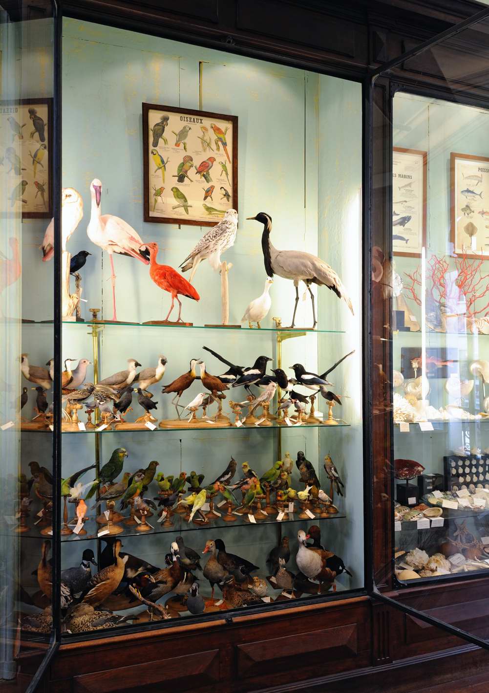 DEYROLLE | City Guide Paris - De Saint-Germain des prés au Palais Royal ...