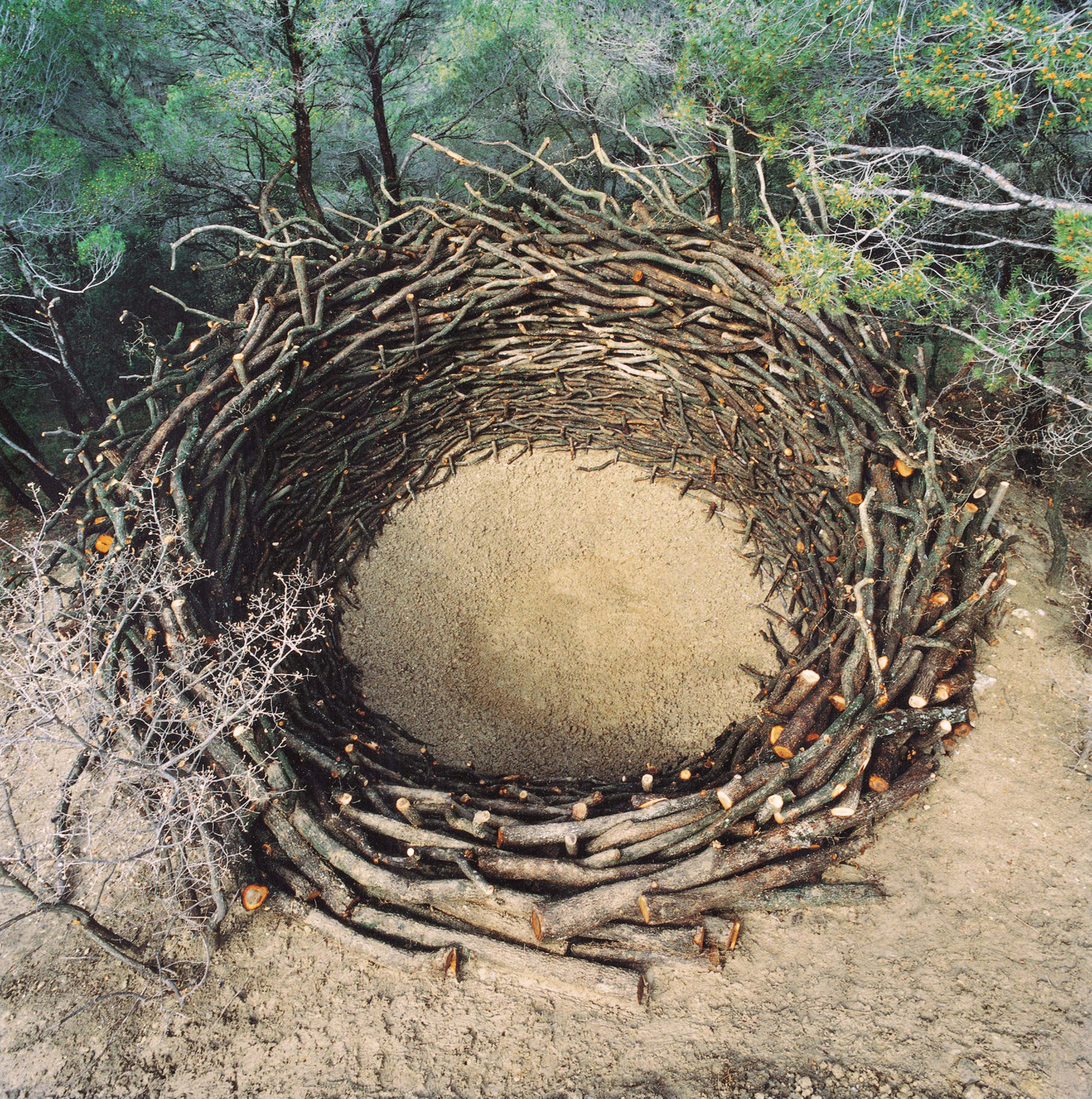 Nils-Udo | Portraits | City Guide Paris - De Saint-Germain des prés au ...